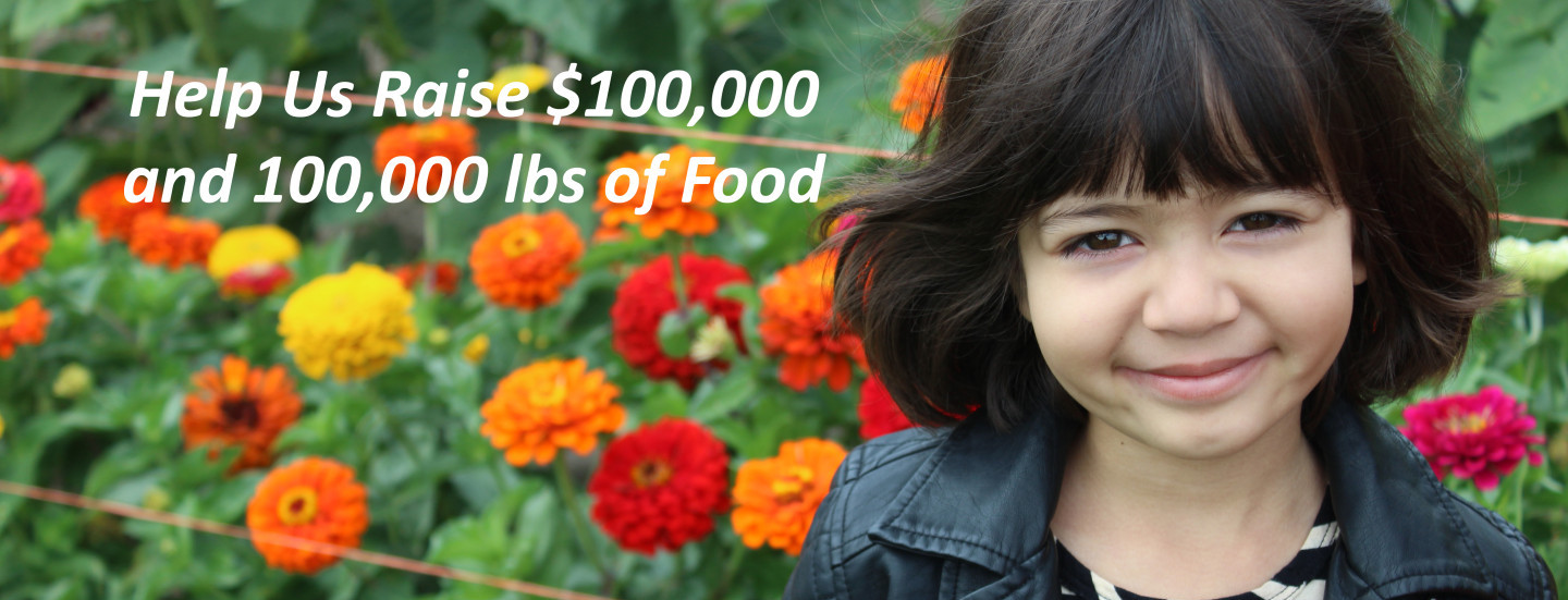 North York Harvest Food Bank | Join the Fall Food Drive! — North York ...